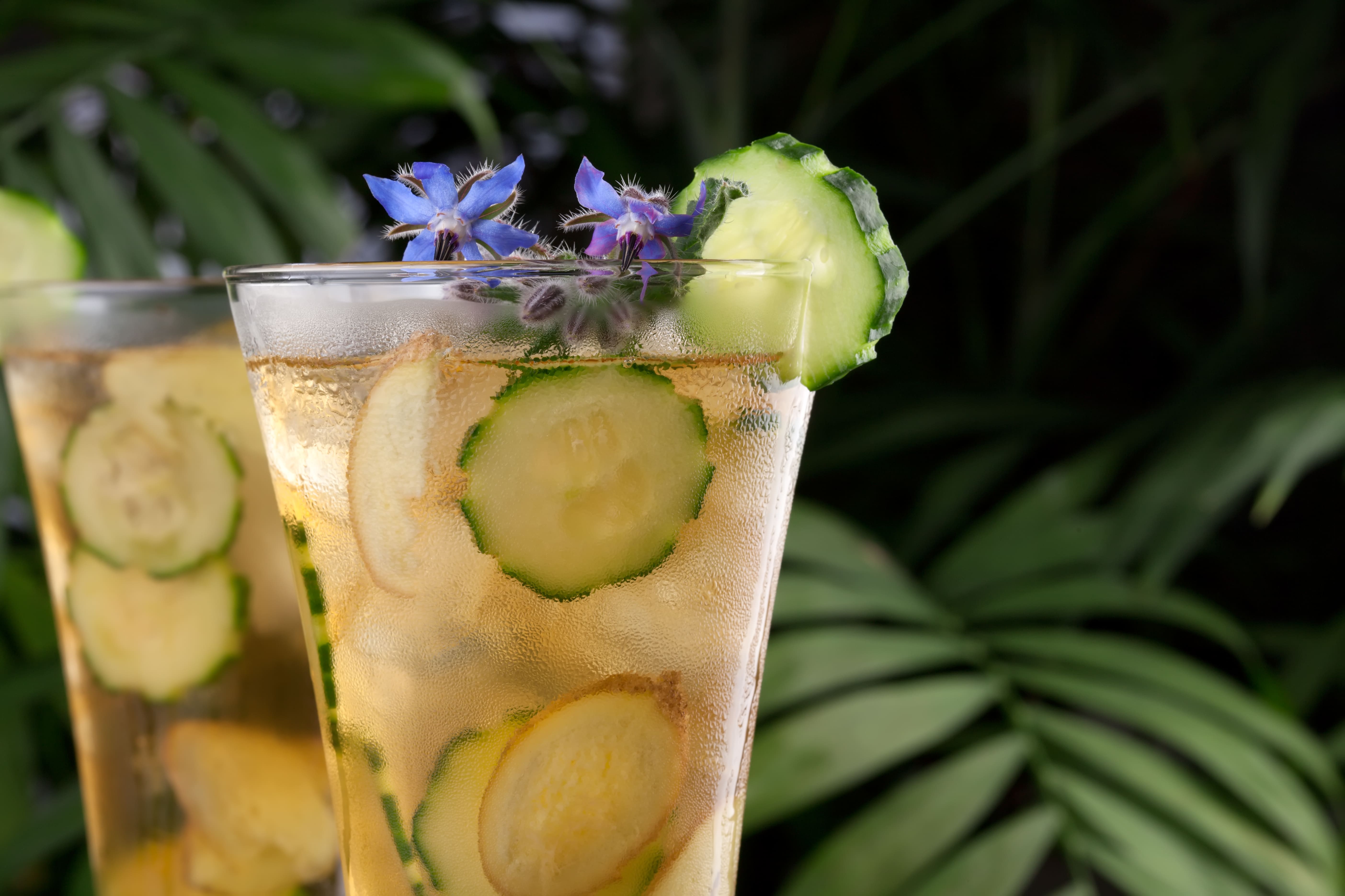 Taste the summer #2: Cucumber iced tea recipe!